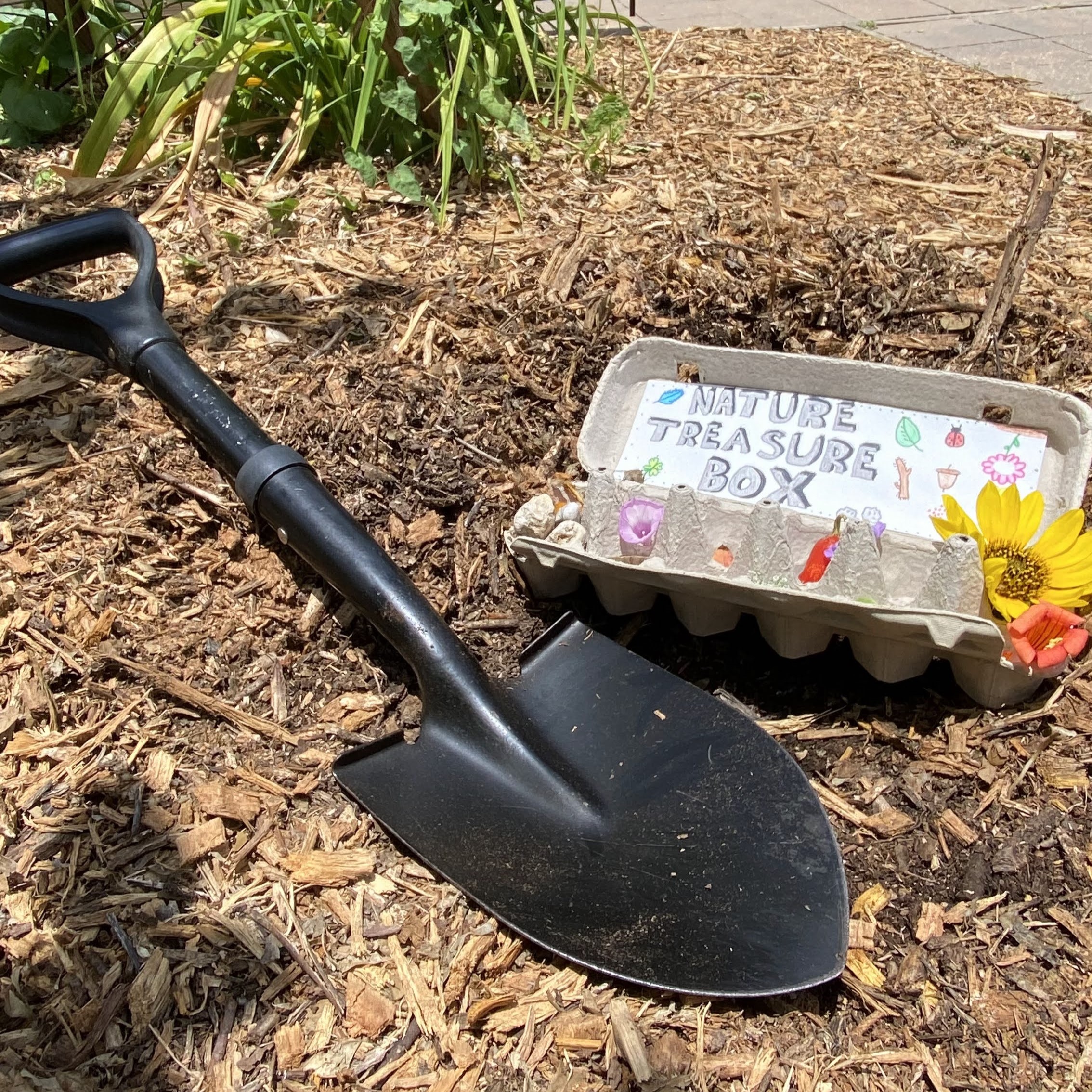 July's Discovery Activity: Nature Box! - Mission Waco
