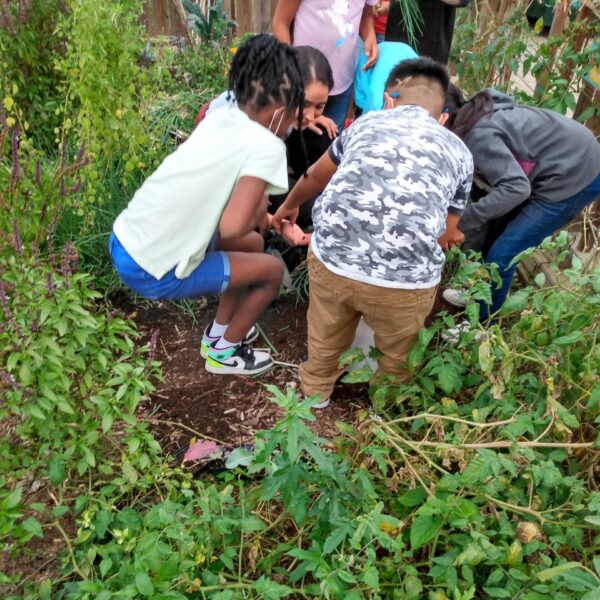 Urban Reap Mission Waco